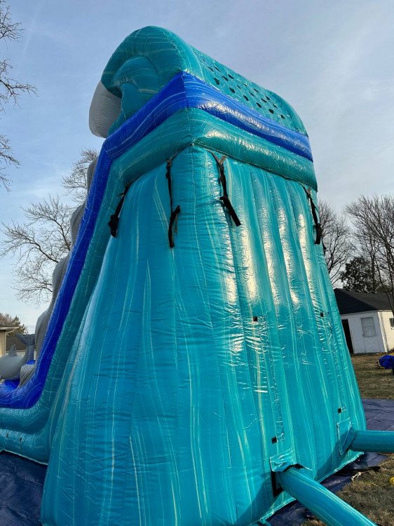 Dolphin Dive Slide w/ Pool - Bounce & Boogie Party Rentals